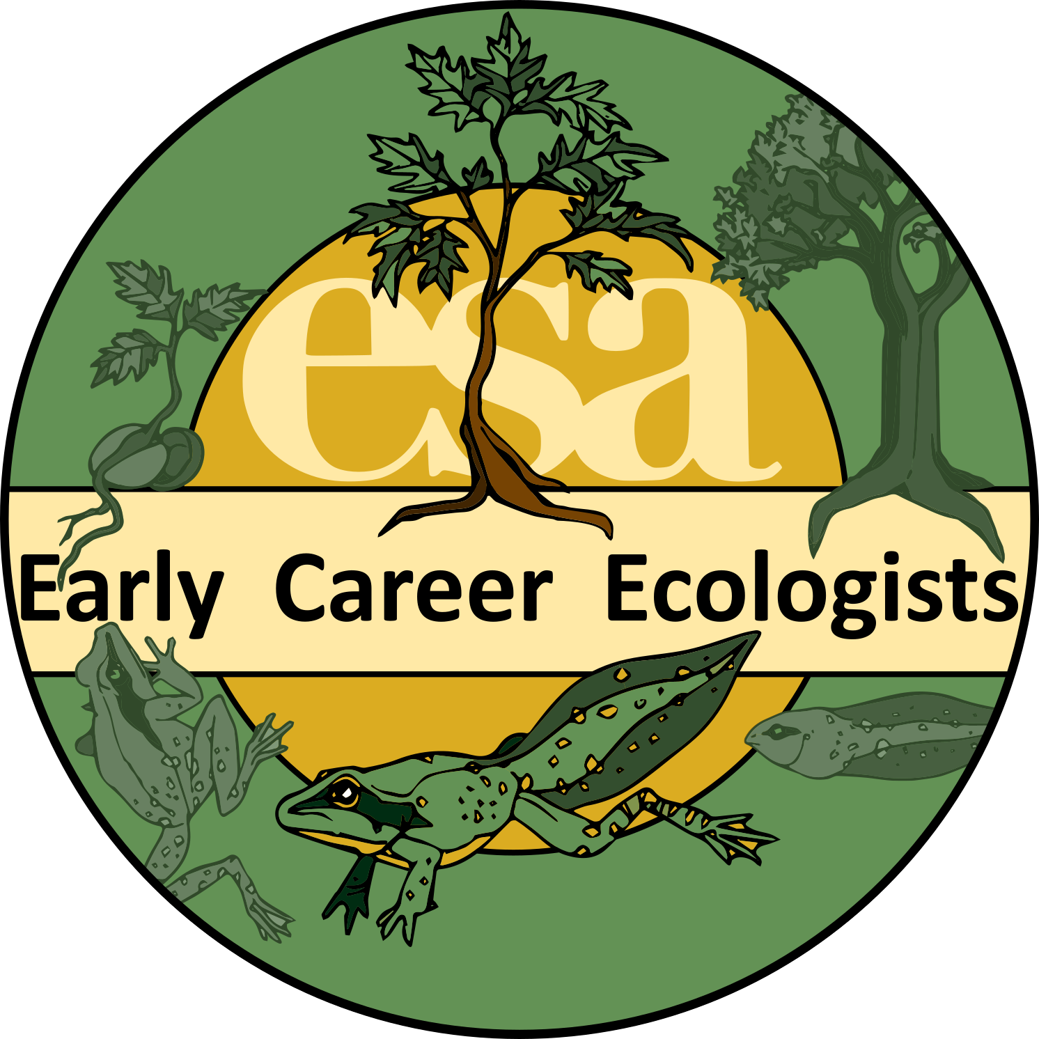 News – Dr. Lilli Kaarakka